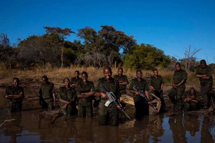 Documentary Released on Zimbabwean All-female Anti-poaching Team ...